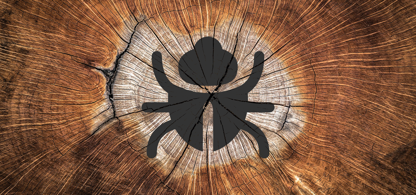 Microsoft splats bug that turns printers into drive-by exploit kits ...