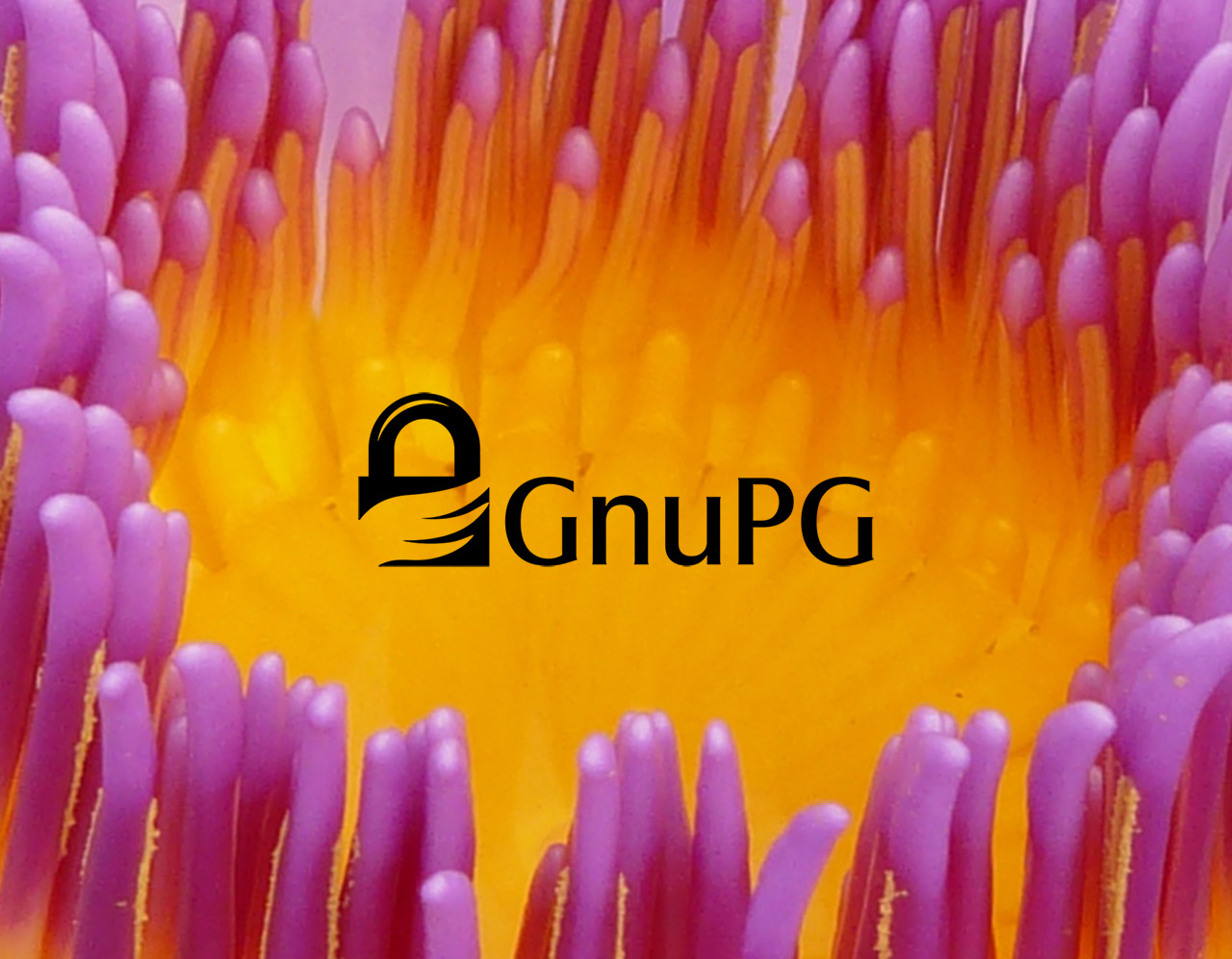 Gnupg