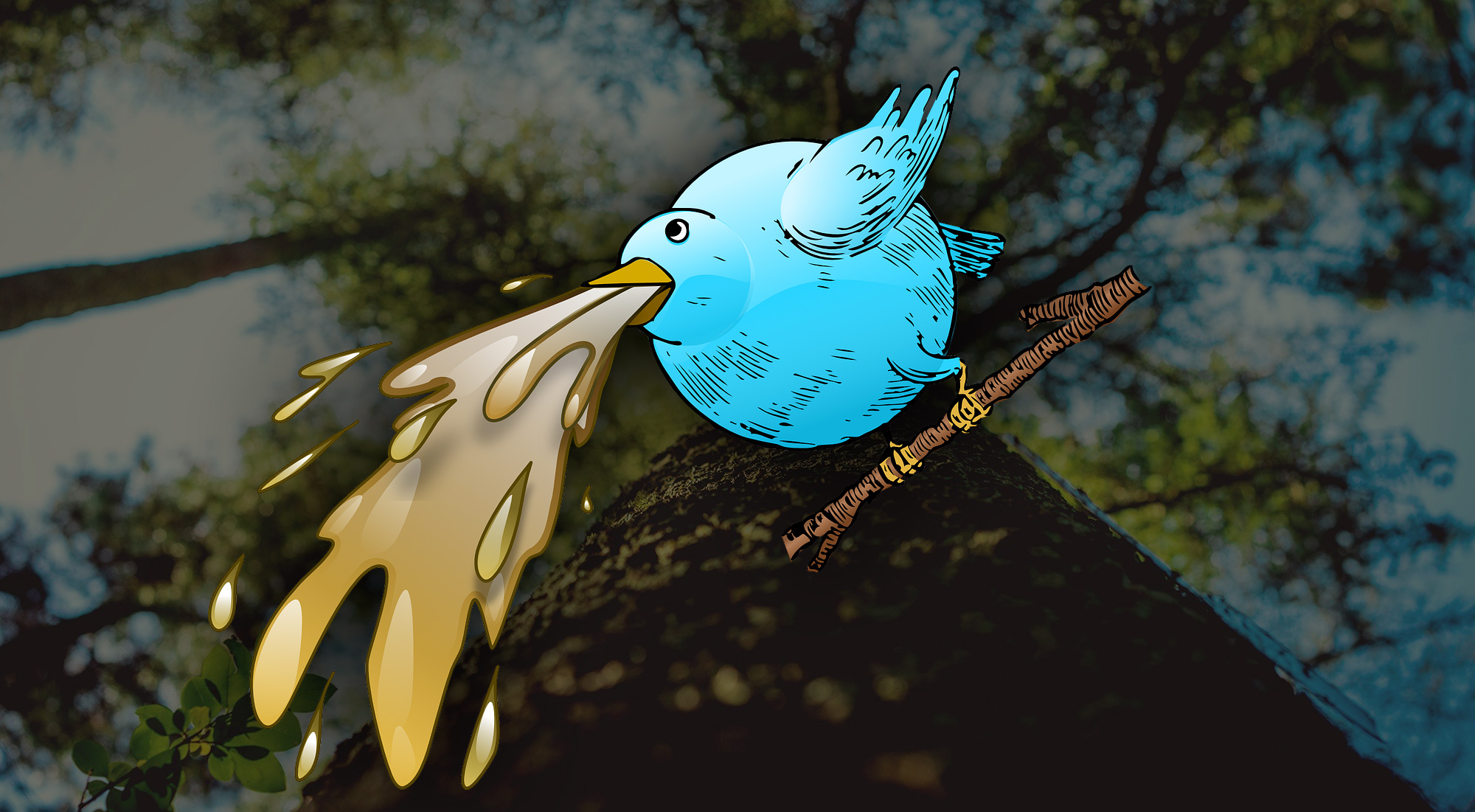 Offer Of Nude Celeb Photos Turns Twitter Users Into Spammers Help Net