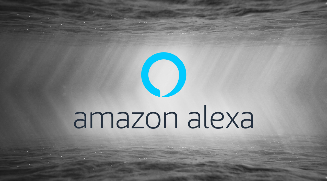 Alexa Skills: Security gaps and data protection problems - Help Net ...